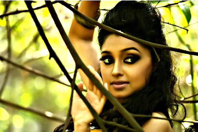 TOP 10 HOT Cute Sija Rose HD PICS PHOTOS AND WALLPAPERS COLLECTION - HD ...