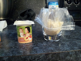 Simple Suburbia: DIY Yogurt Melts [Tasty Tuesday]