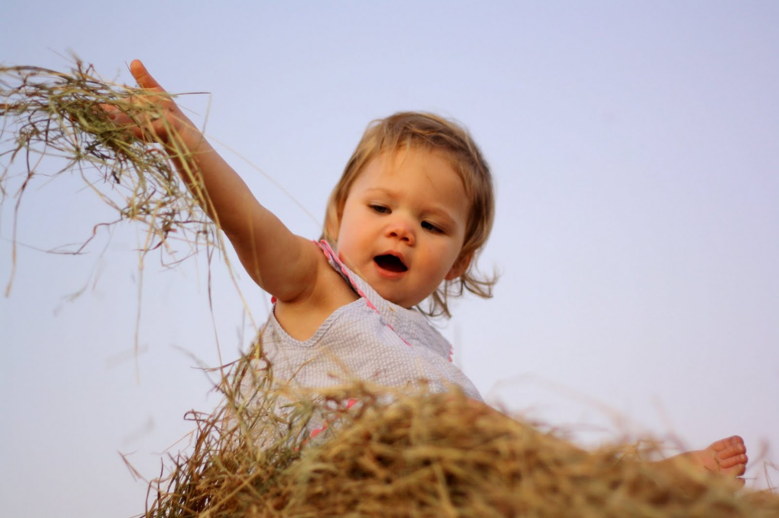 Party of Tew: Hey, Hay Baby!