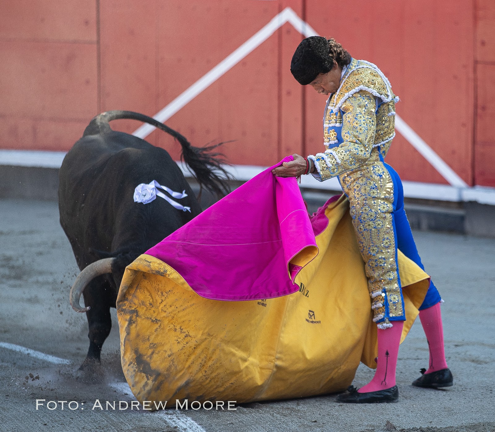 Del toro al infinito: AZPEITIA. La corrida de Gavira en el objetivo de ...