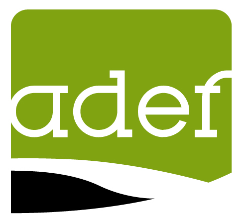 ADEF - Gestión Personalizada