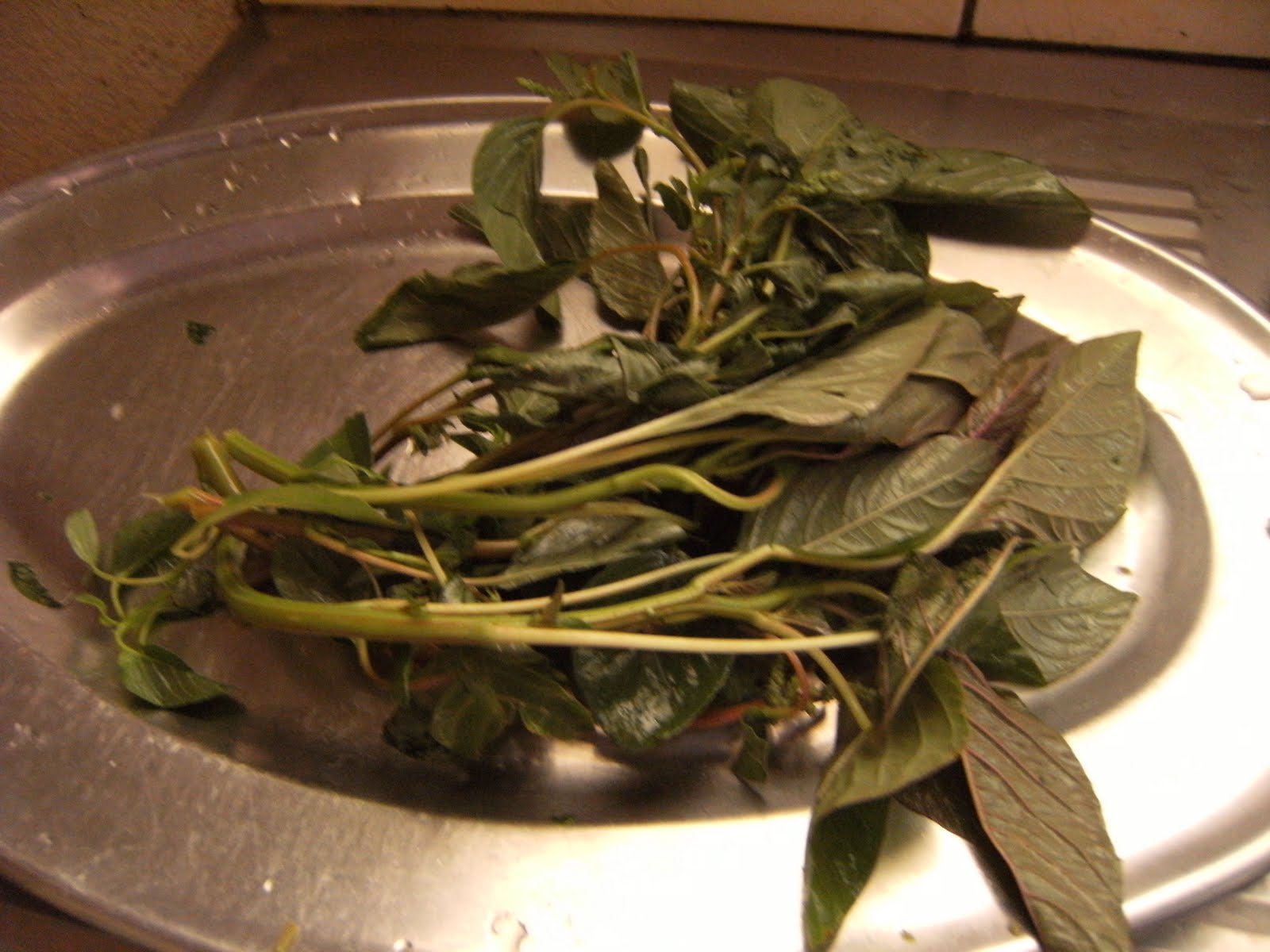 Growing together in Rwanda: Eat dodo (now with pics)