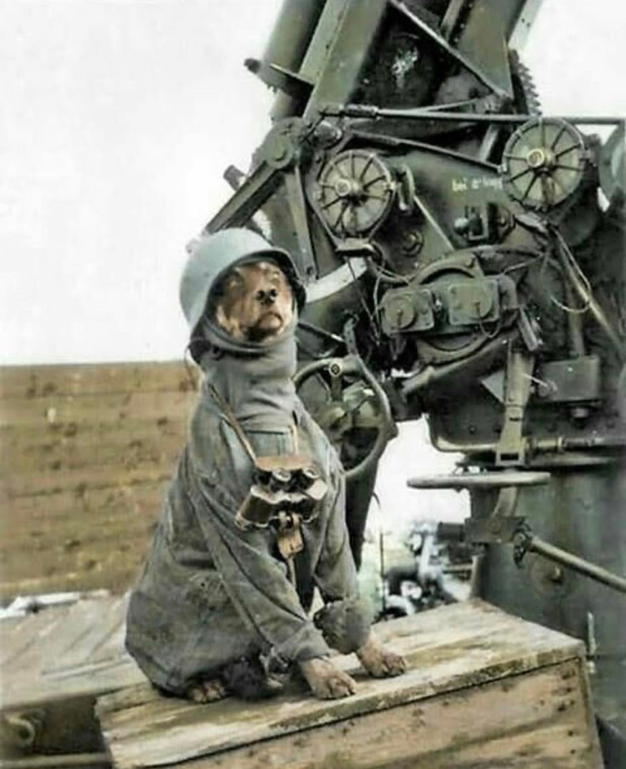 Kampfgruppe Willow: German Flak 88mm 18/36/37/41 8.8cm cartridge ...