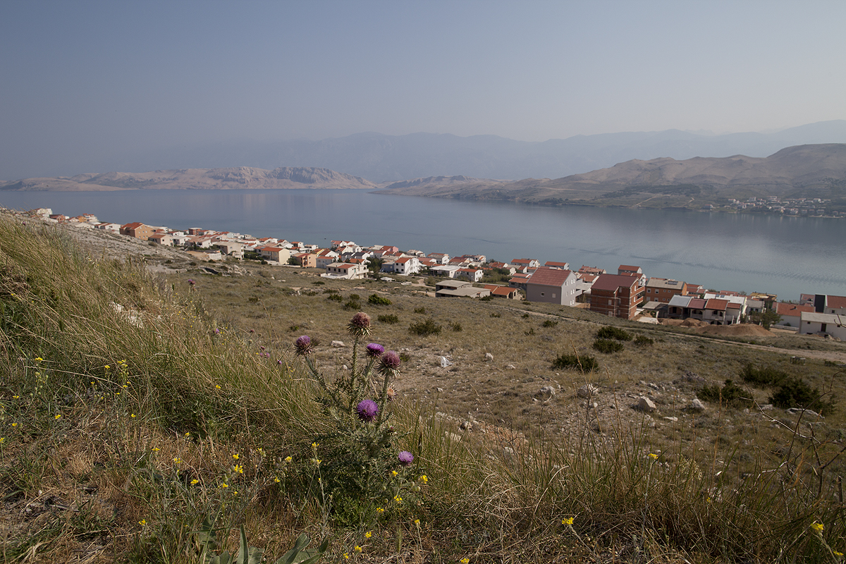 del MEDITERRÁNEO: CROATIA. HRVATSKA, DALMATIA. PAG ISLAND, PAG, LUN ...