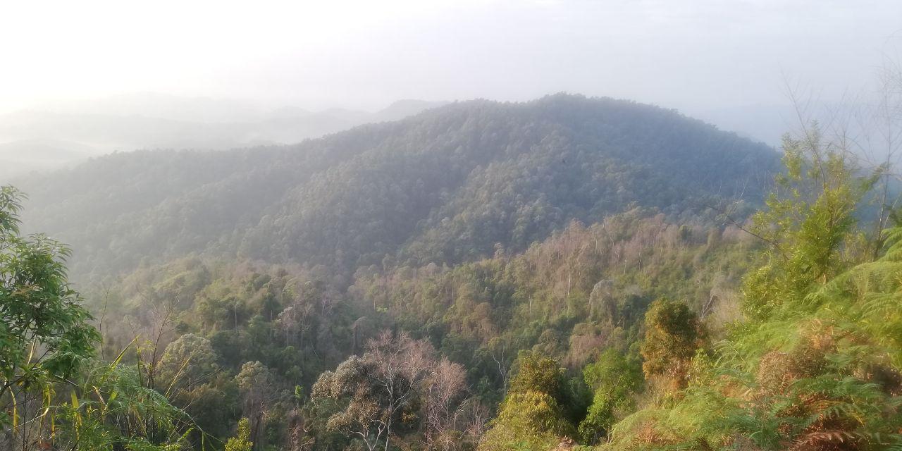 R U N N I N G: Bukit Senaling - Negeri Sembilan