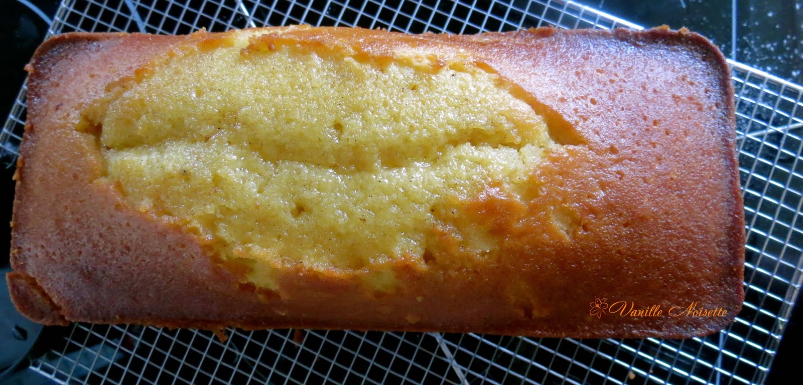 Vanille Noisette : CAKE VANILLE