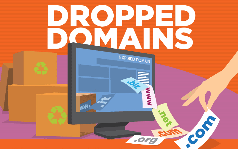The Beginner’s Guide to Dropped Domains (infographic)