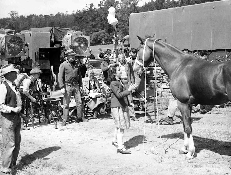 CLASSIC MOVIES: NATIONAL VELVET (1944)