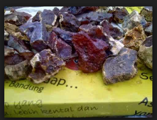 Khasiat dan Manfaat Batu Akik Red Raflesia atau Batu Akik Cempaka Merah ...
