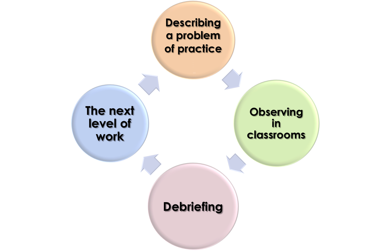 Sandra's Professional Development: Instructional Rounds