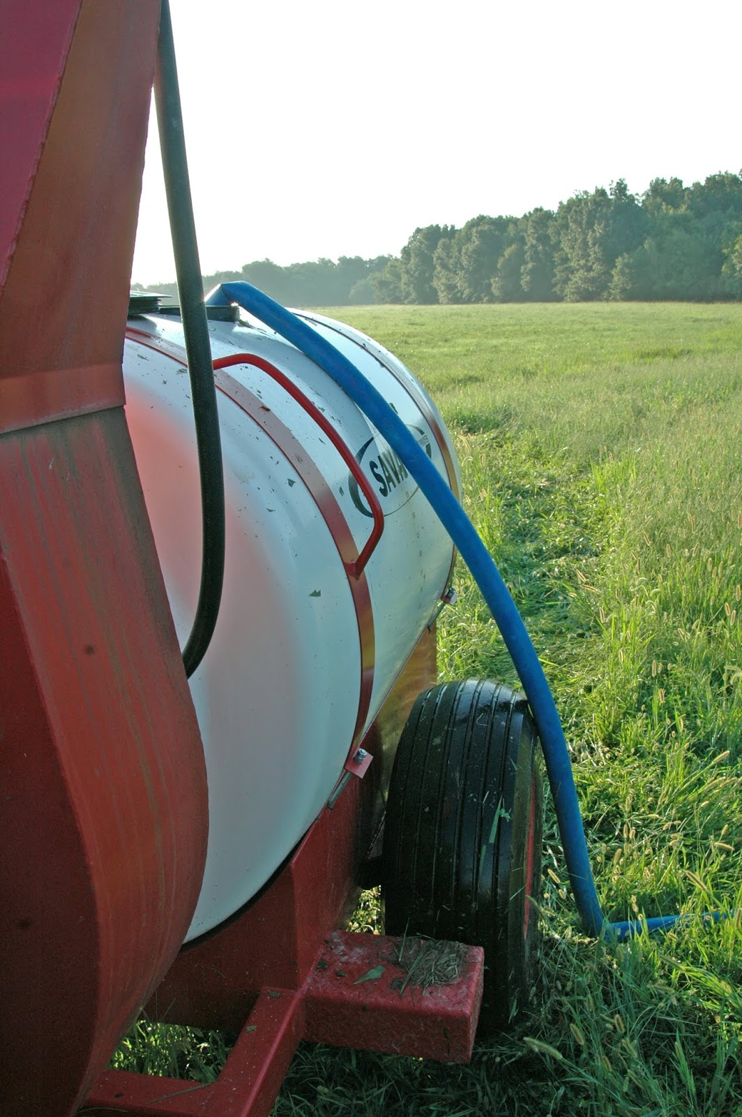 Northern Pecans: Making my last weevil spray