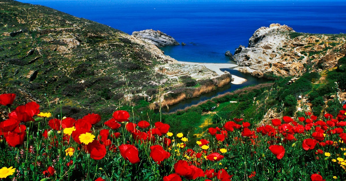 The passion of colors: Photos from Spring in Greece!