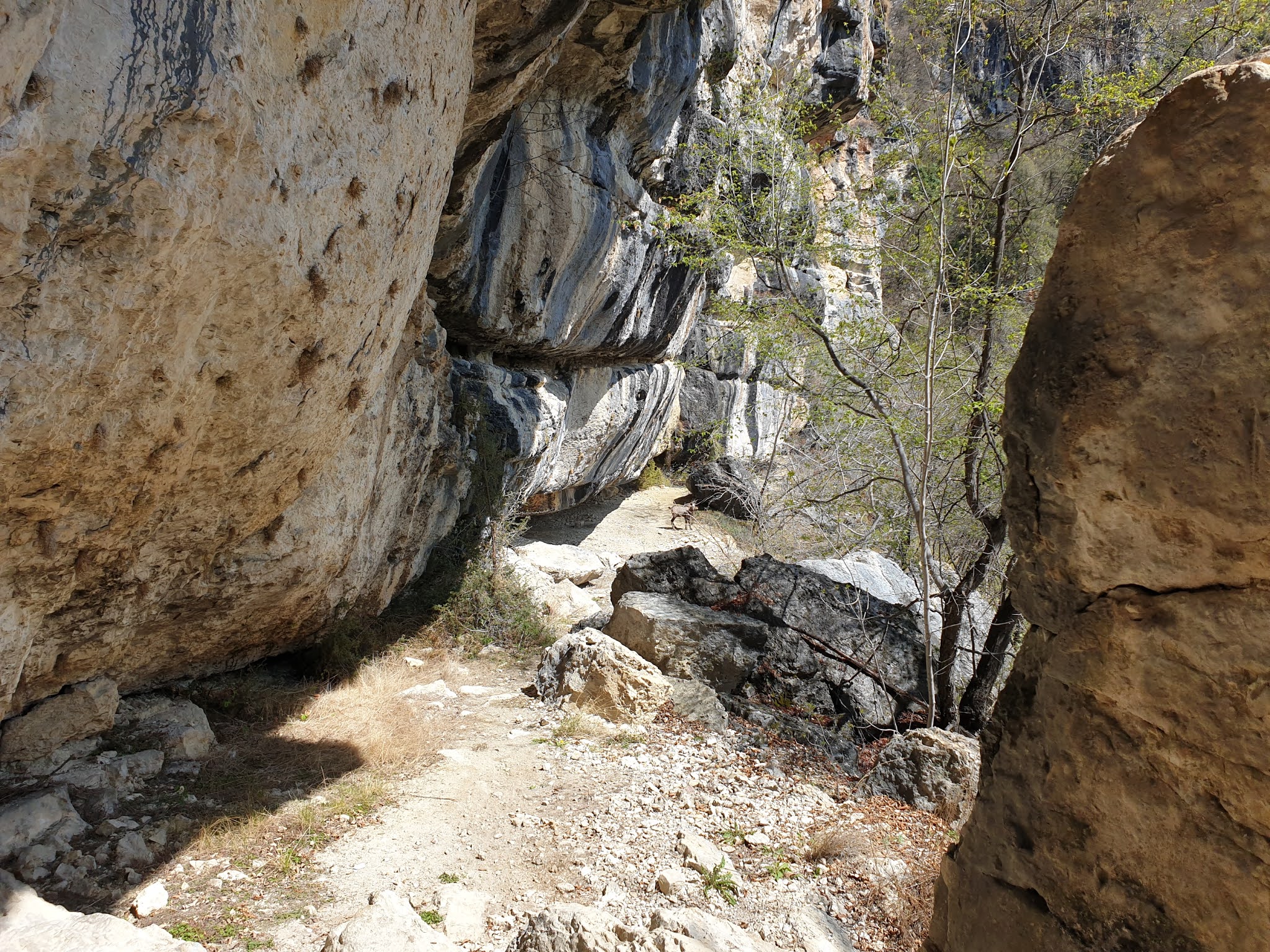 Su strade e sentieri: LE CENGE DELLA VAL D'ASSA (PEDESCALA IN VALDASTICO)