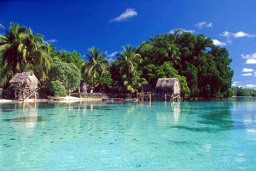 Kimberley’s Wanderings: It's my Book Birthday for WHEN THE BUTTERFLIES ...