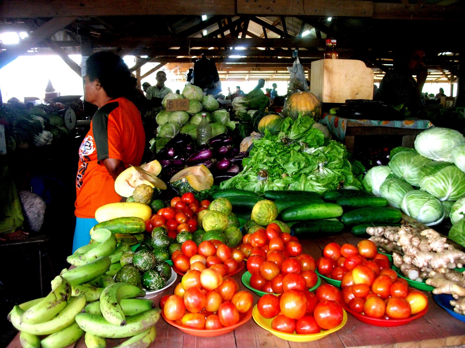 On Environment and Sustainability Venture