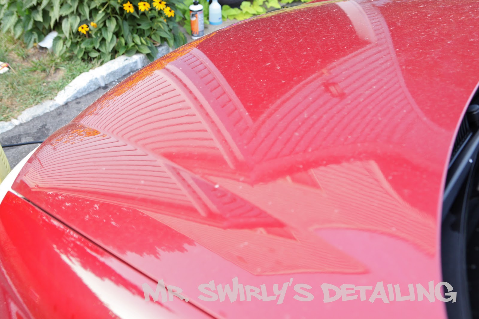Mr. Swirly's Detailing: 2006 Maroon VW Jetta