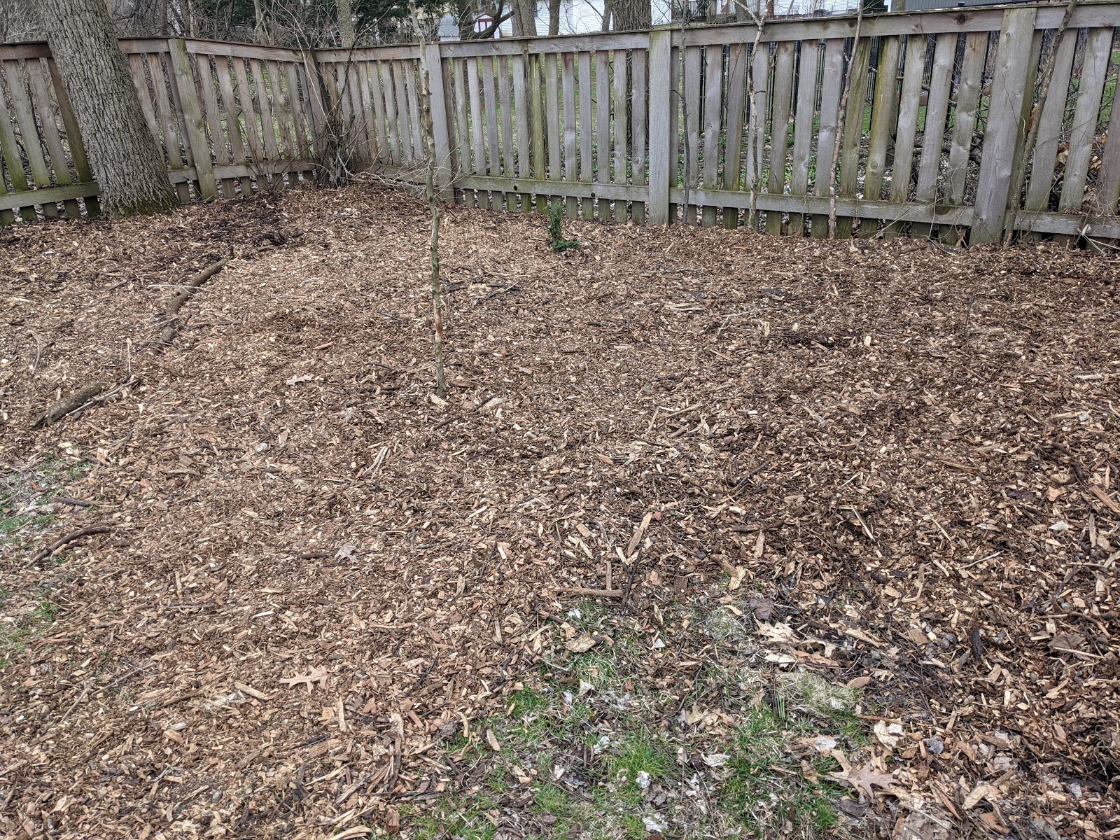 Going All-In On Wood Chip Mulch (Far Backyard) - April 2020