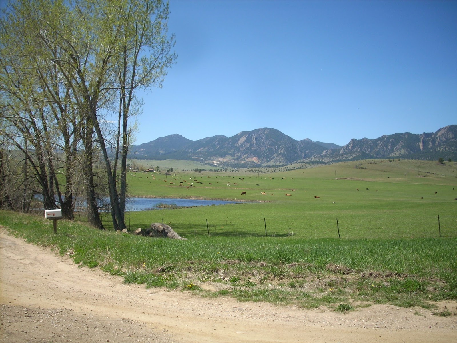 Explore Colorado: Boulder Foothills ~ After Spring Rains