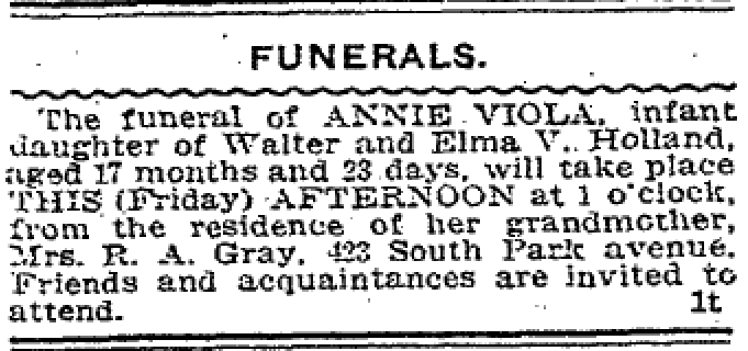 Reflections From the Fence: 2021