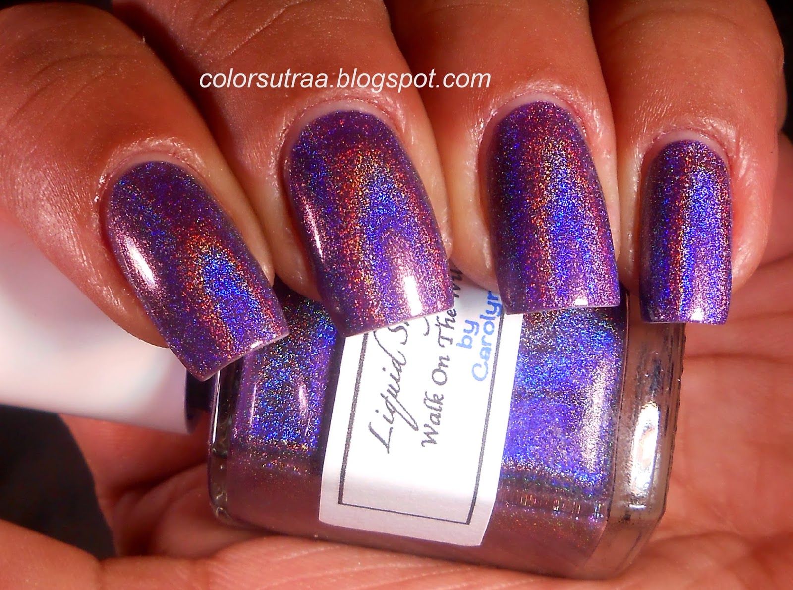 LIQUID SKY LACQUER Part III : Bri's Hella Holo, Walk on the Wild Side ...