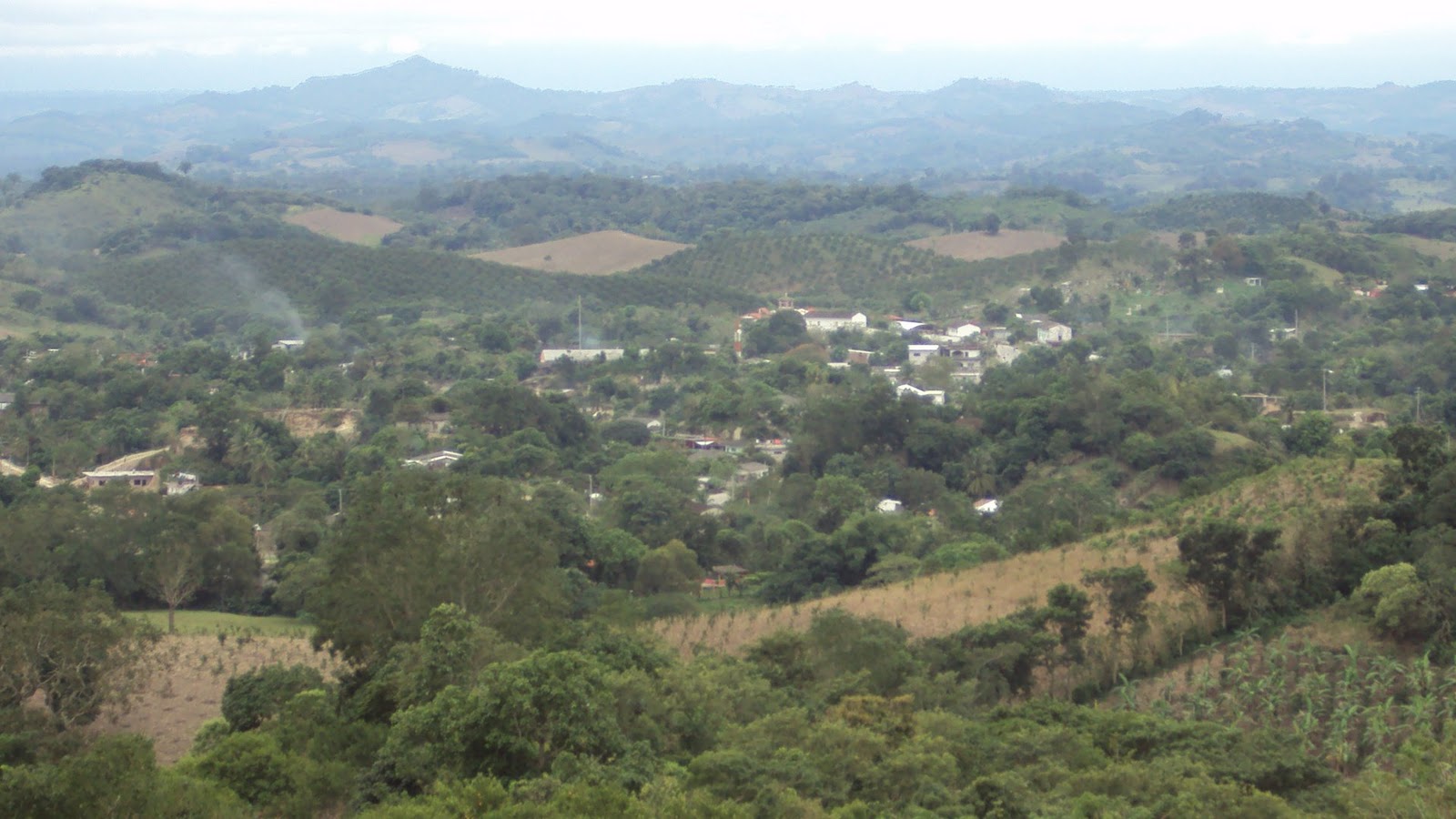 COMUNICANDO A PUEBLILLO Y EL LLANO PAPANTECO: GRACIAS A TU PREFERENCIA ...