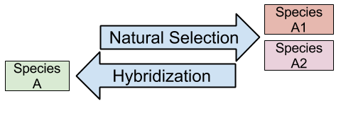 Habitat Bliss: What do we Mean by a Species?