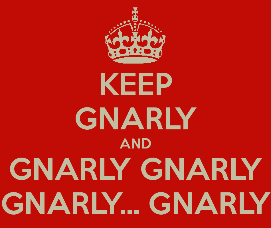 BreakMentalDown: It would be totally gnarly if the kids said gnarly again