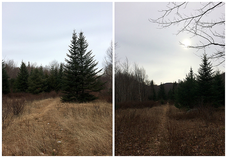 Hiking in the White Mountains: Livermore Pass and the Old Town of ...