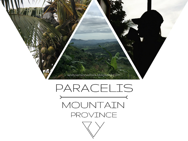 MAPPing Paracelis v.2 - PVYSTERSAVCE