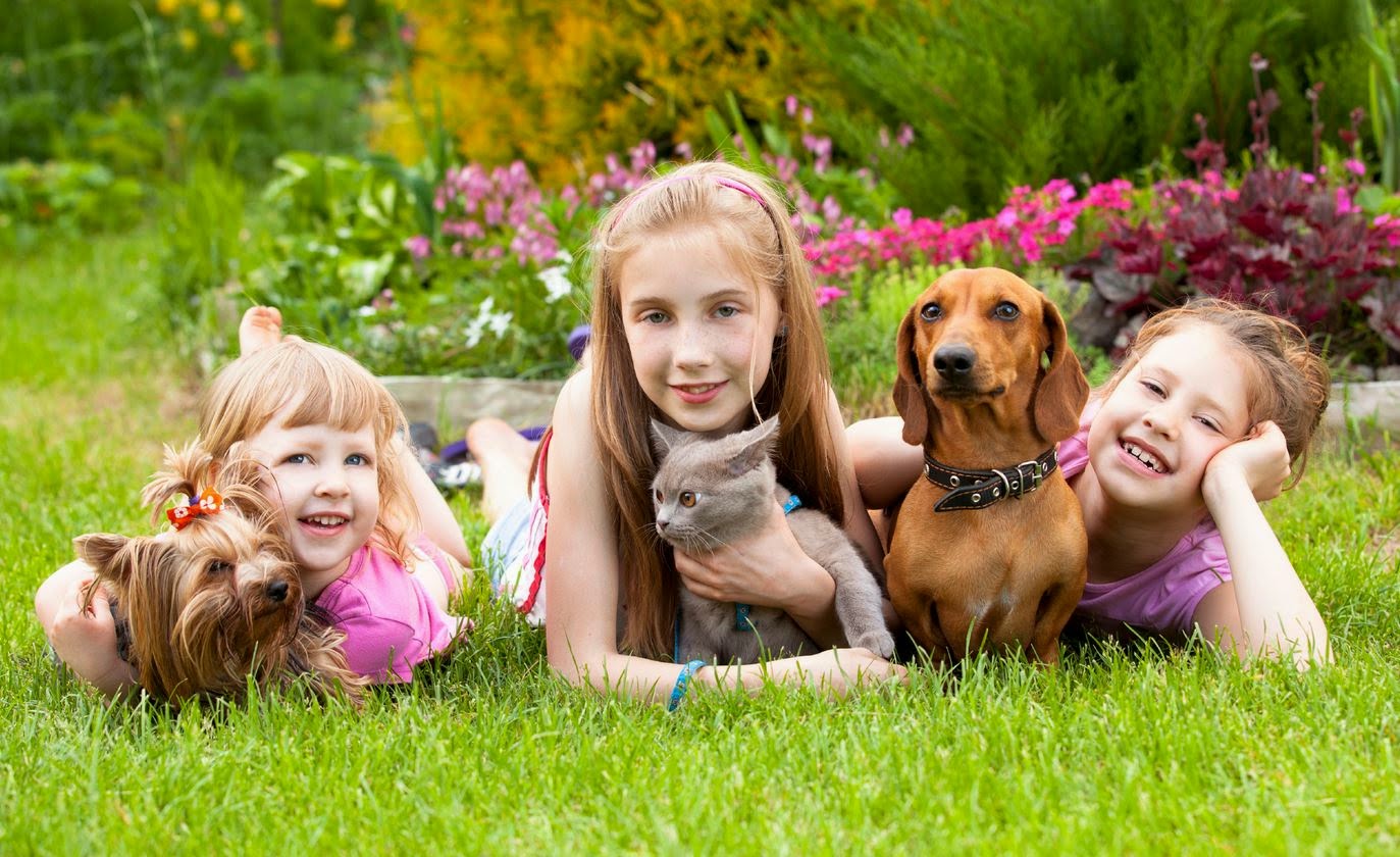 Pets N More 15 Remarkable Benefits Of Kids Having Pets pets-n-more-15-remarkable-benefits-of-kids-having-pets