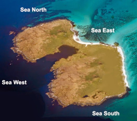 NephiCode: Questions I Would Like to Ask – Part XVI