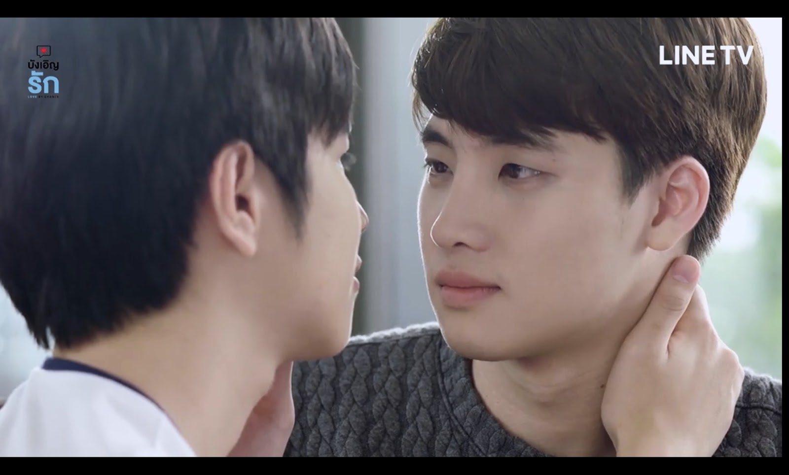 Love By Chance (Series Review)