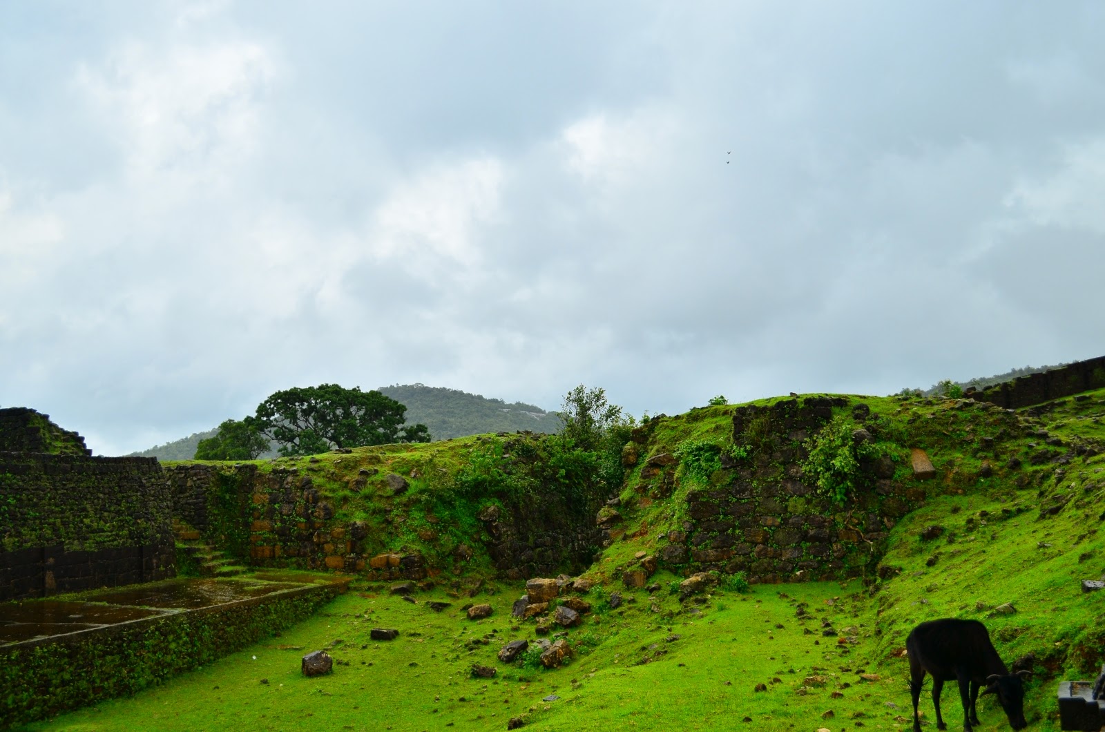 Sharath Hassan A Travelling Photographer: Nagara Fort, Nagara ...
