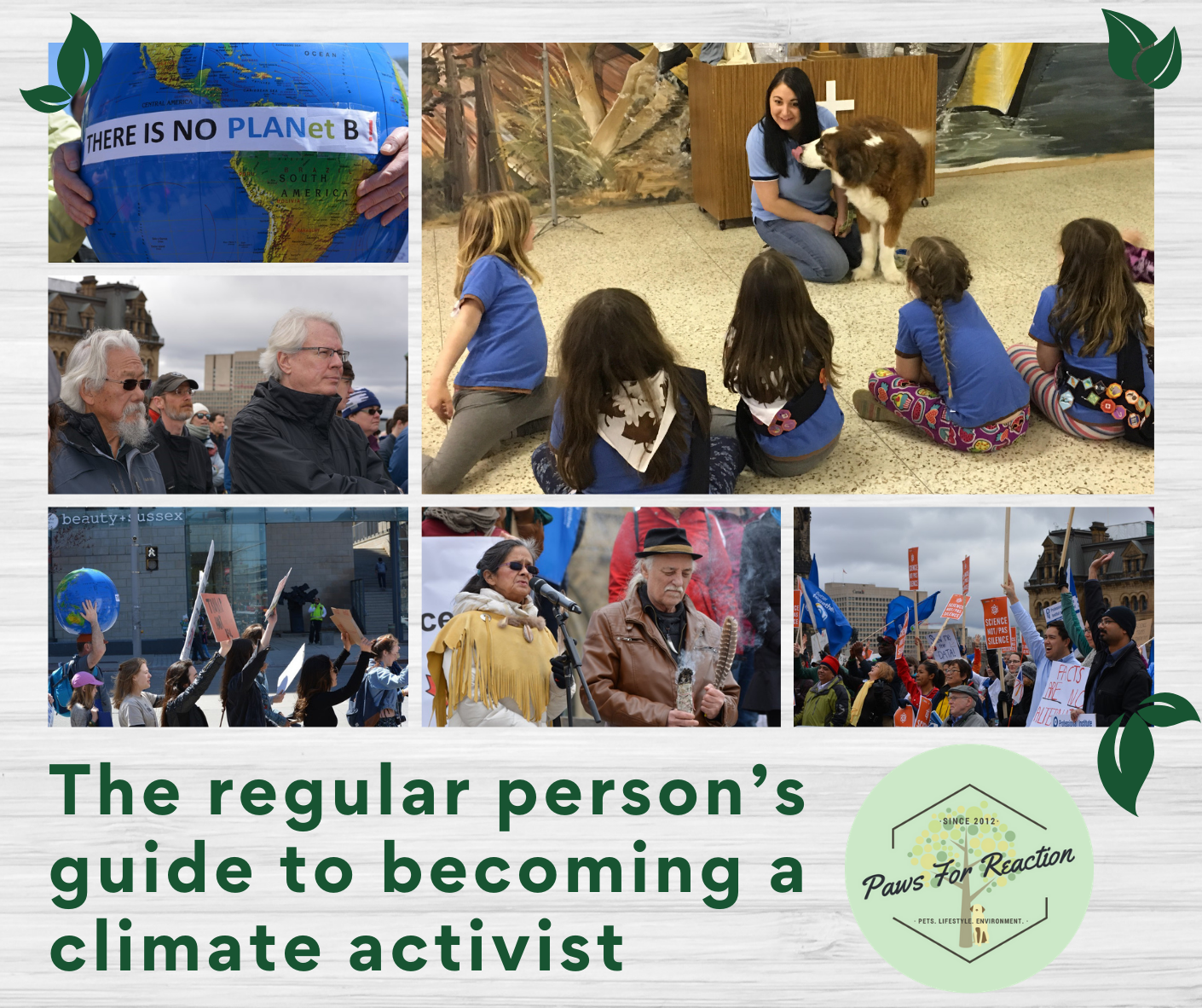 How to be a climate change activist if you're just a normal person ...