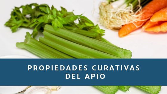 PROPIEDADES MEDICINALES DEL APIO - INFORMACIÓN COMPLETA