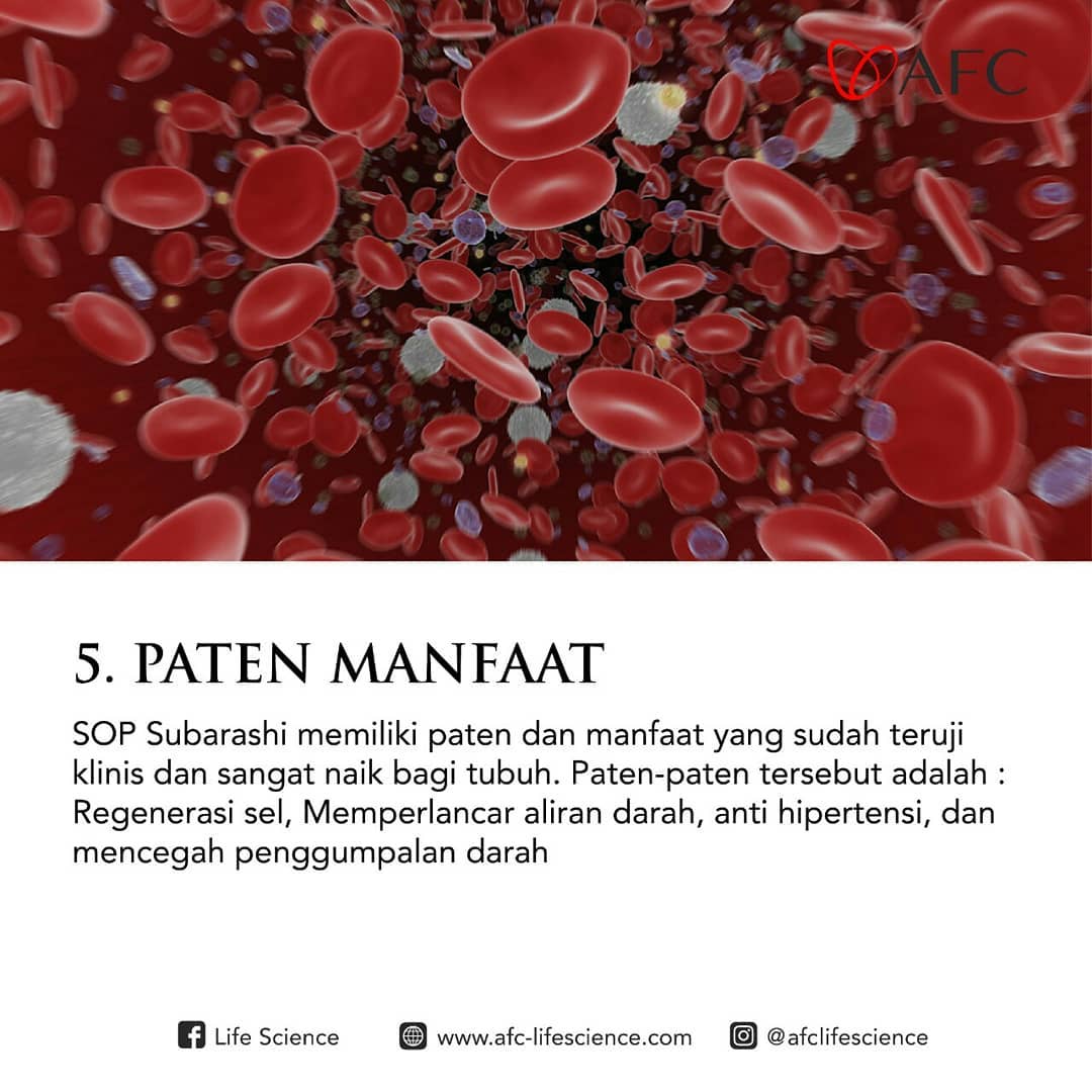 SOP SUBARASHI, UTSUKUSHHII, SOP 100+ dan SENSEI SURU AFC: SOP SUBARASHI