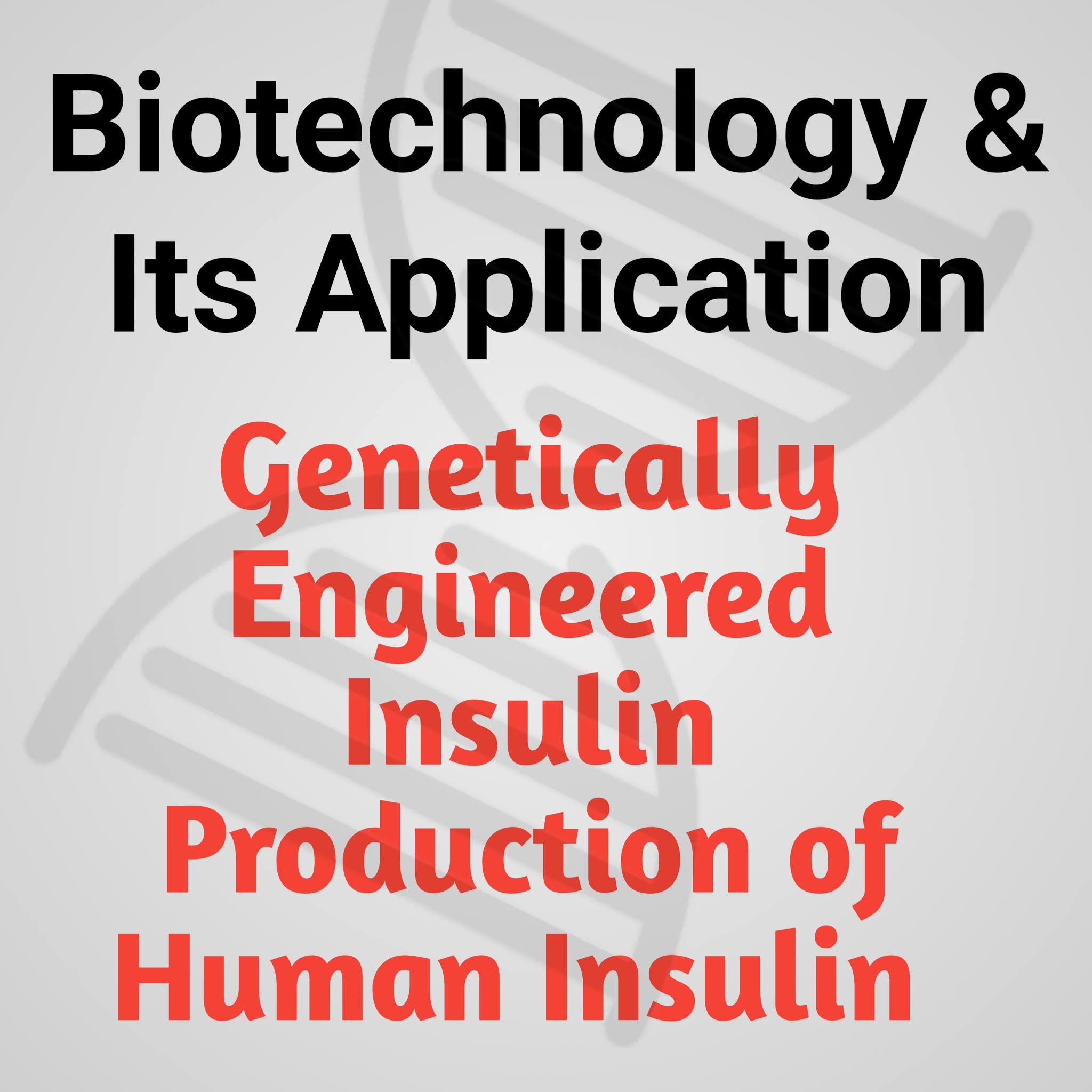 Genetically Engineered Insulin: Production of Human Insulin