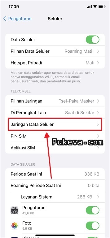 Cara Setting Personal Hotspot dan APN di iPhone 13, 13 mini, 13 Pro ...