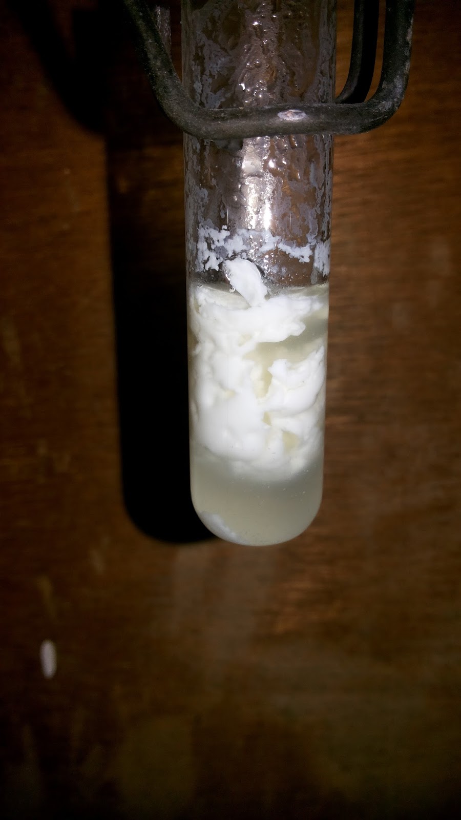 Biology Club: C.O.B - Clot On Boiling Test