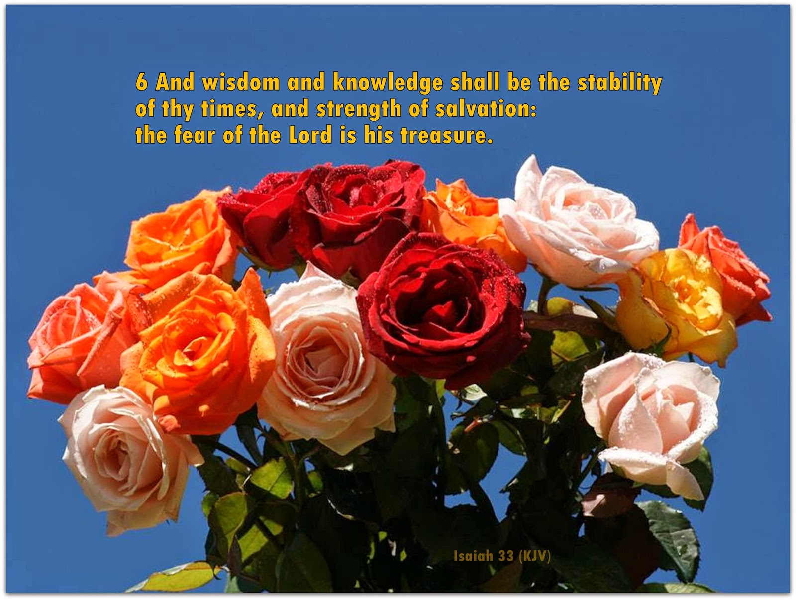 Red Pill Diaries: Isaiah 33 (KJV)