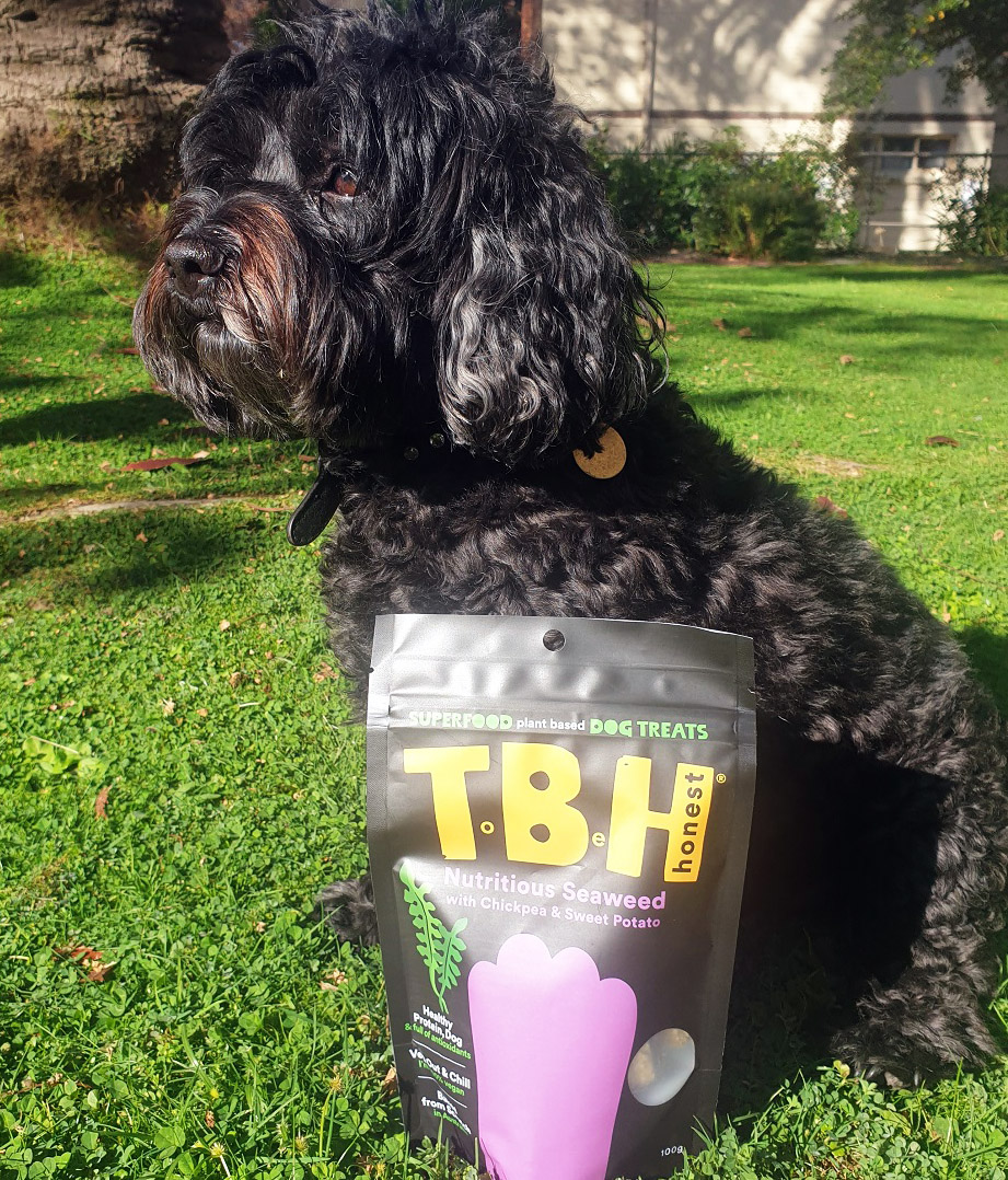 TBH Plant & Insect-Based Dog Treats | Australian Dog Lover
