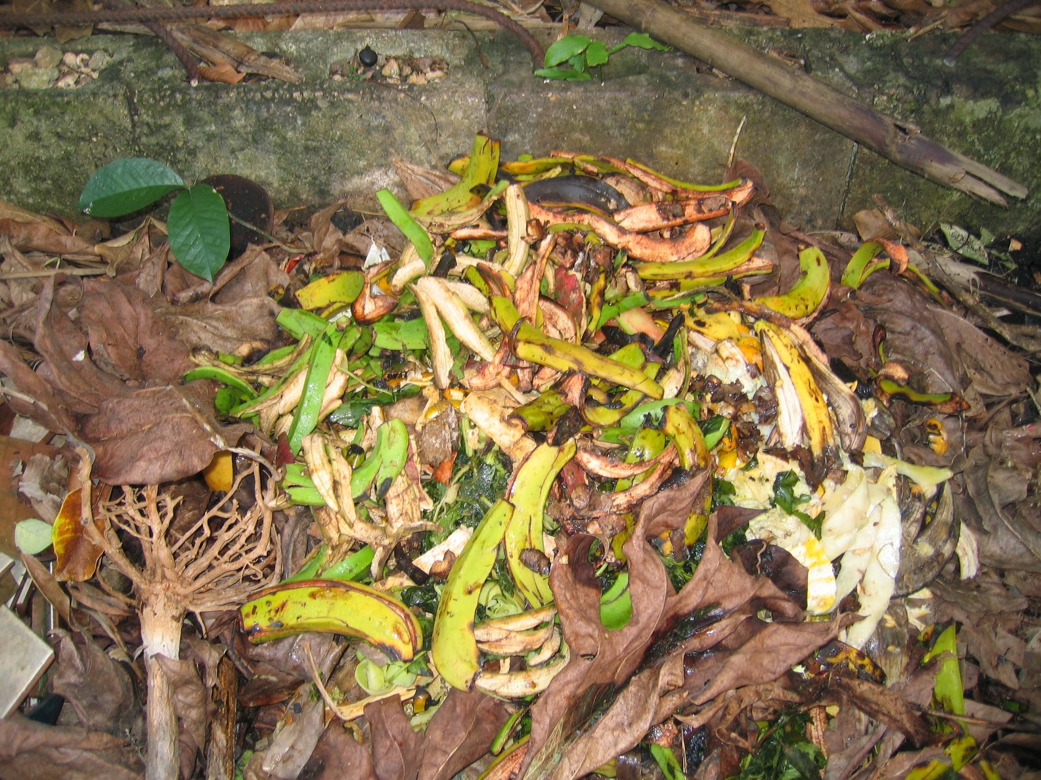 Beyond the Marog Kingdom