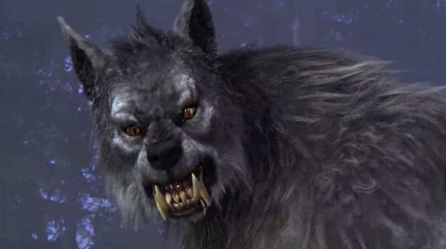 HISTOIRE DU SOIR: Légende du loup-garou