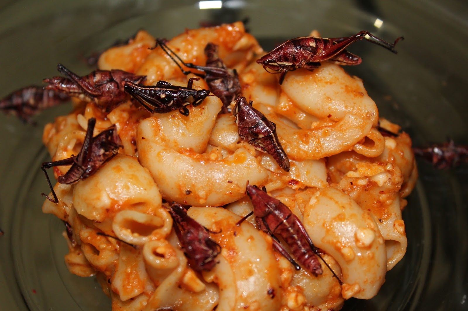 Mario y su Cocina: Receta: Pasta en salsa de chapulines y queso ahumado