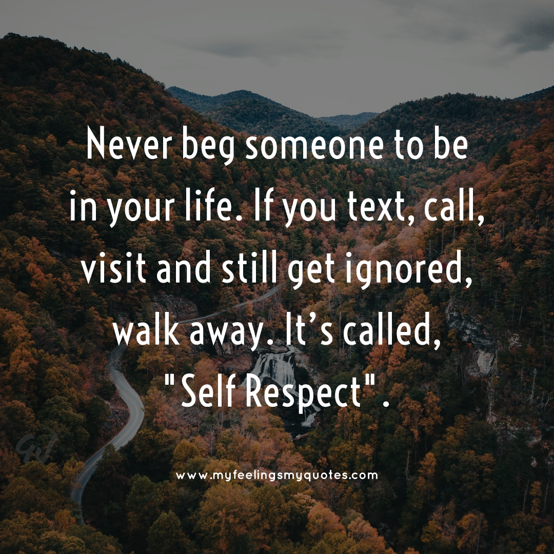 Never beg someone to be in your life | My Feelings My Quotes