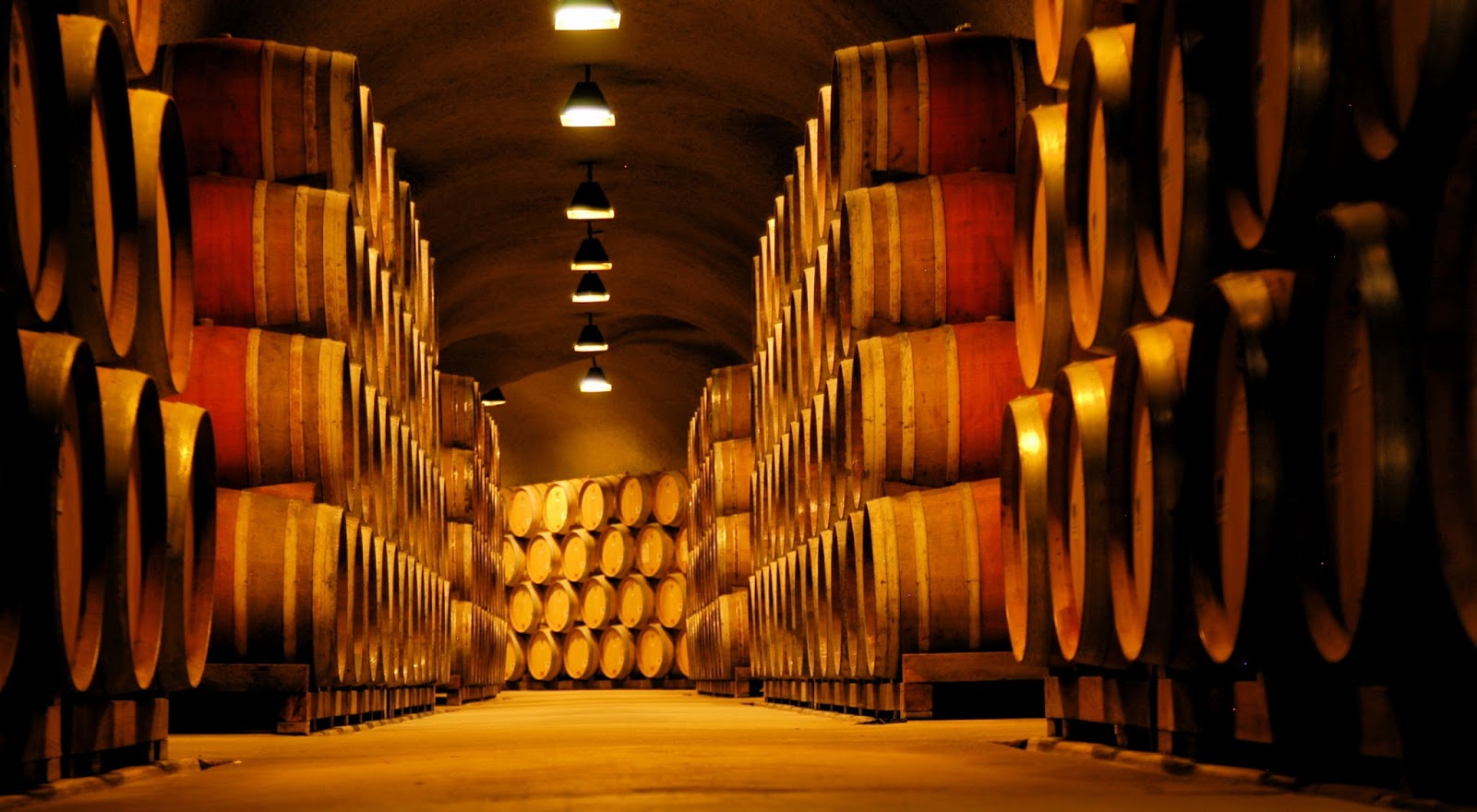 Volcanes, Rios,Ciudades y Pueblos de Chile: Viñas Sur