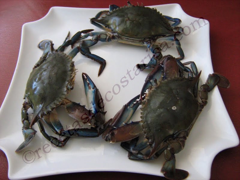 Cocina Costarricense: jaibas en caldo