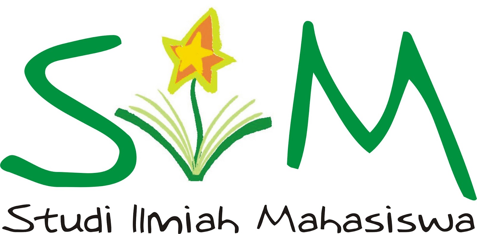 Studio Graphic Computer: LOGO