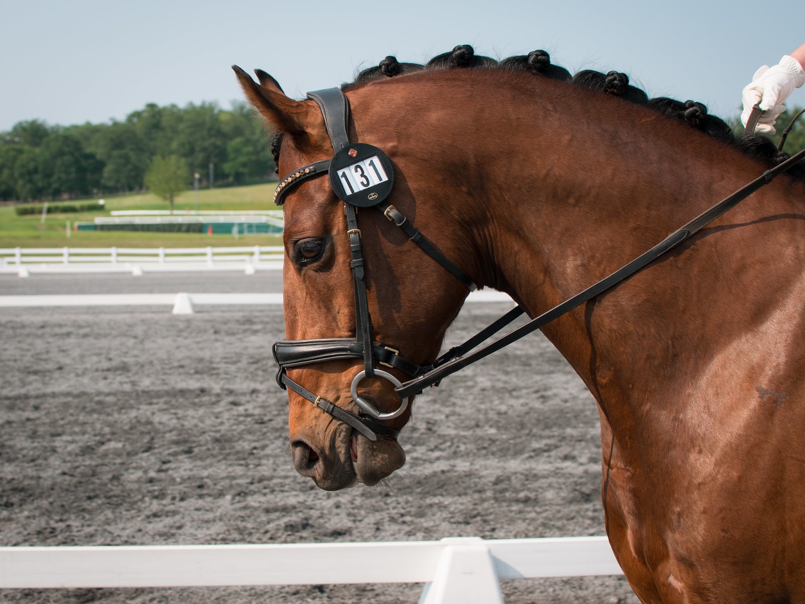 Loch Moy 1, Training 2