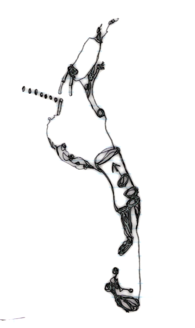 The Digging For Dada Collective: Automatic writing, surreal trance ...